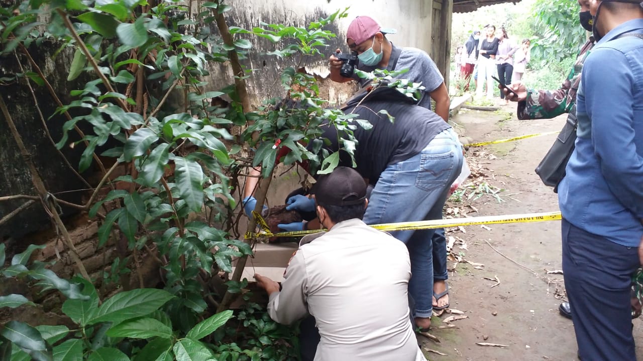 Dikira Bangkai Kucing, Warga Magelang Temukan Orok Bayi Baru Dilahirkan ...