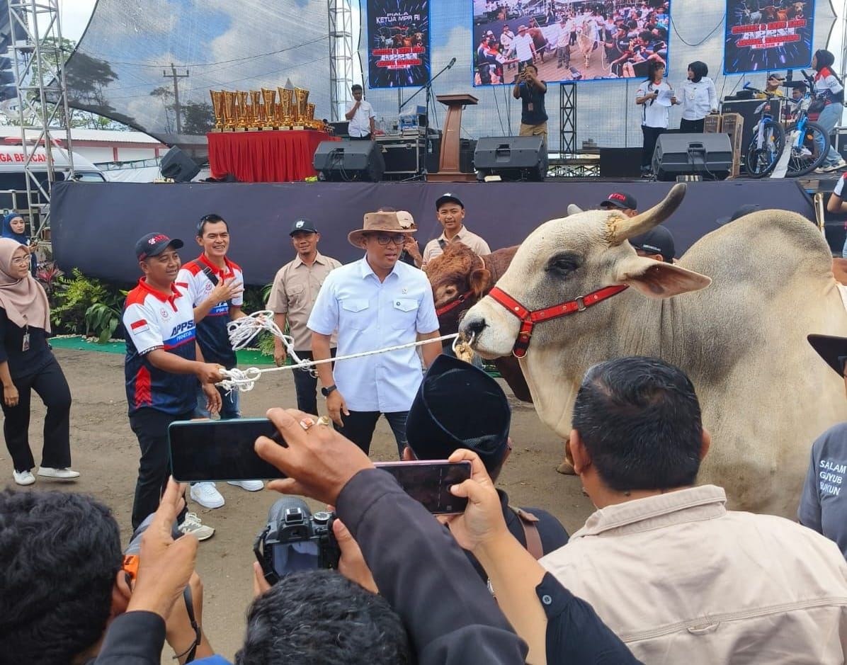 Kontes Sapi APPSI Season 2: Dukungan PT Krama Yudha Tiga Berlian Motors ...